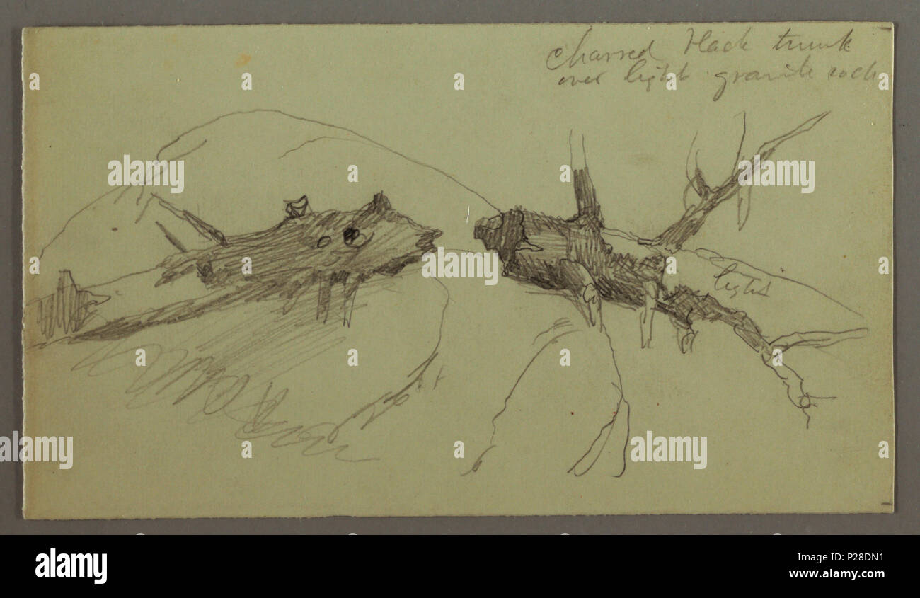 . English: Drawing, Trunk, rock . before 1917 (acquired date) 112 ...