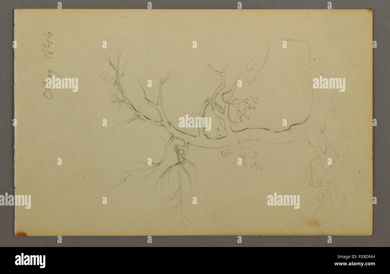 . English: Drawing, Tree . English: Verso: Clouds, hillside (1845 ...