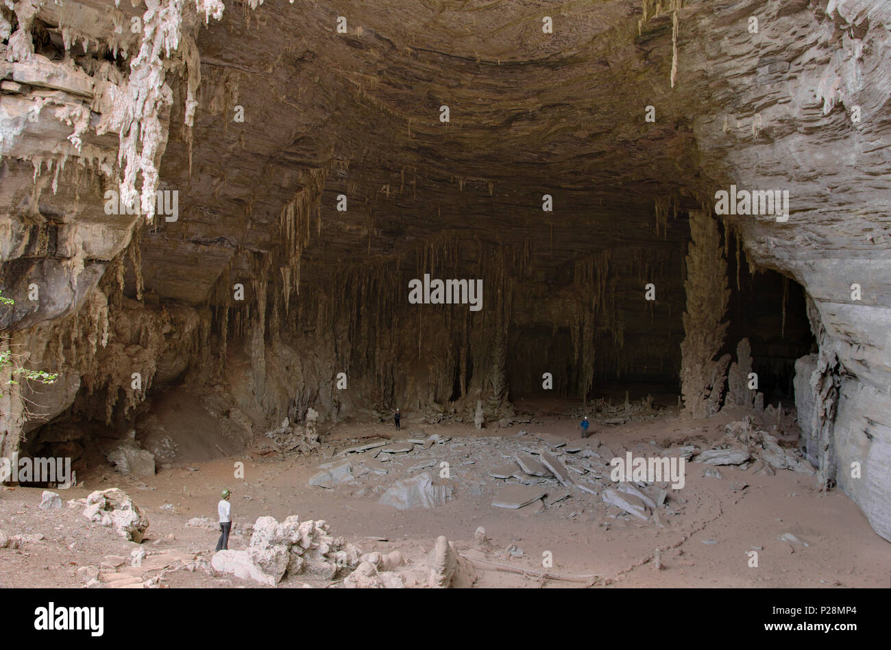 The entrance of a cave in southeast Brazil with researchers ready to ...