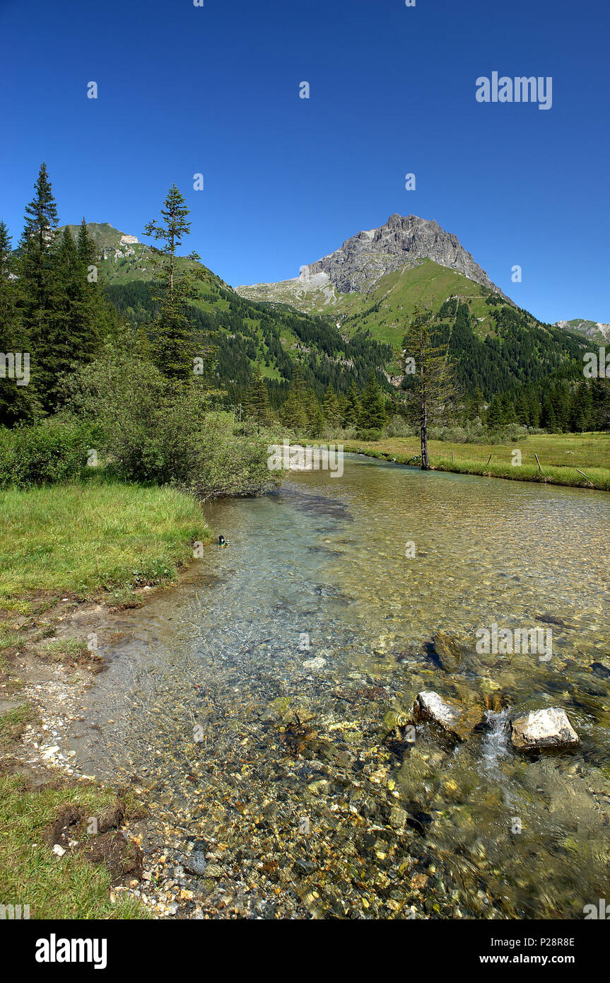 Piana gaver hi-res stock photography and images - Alamy