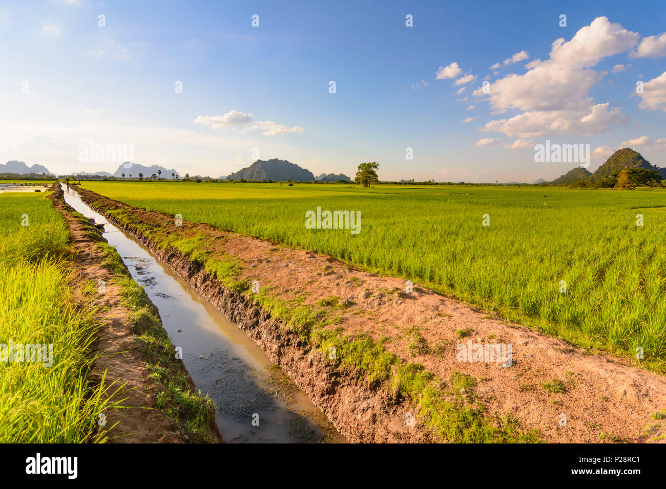 Field ditch hi-res stock photography and images - Alamy