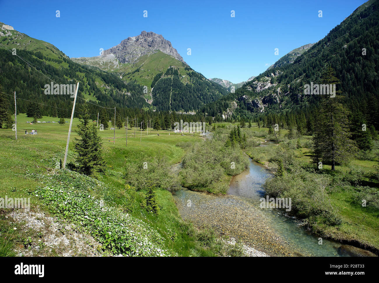 Piana gaver hi-res stock photography and images - Alamy