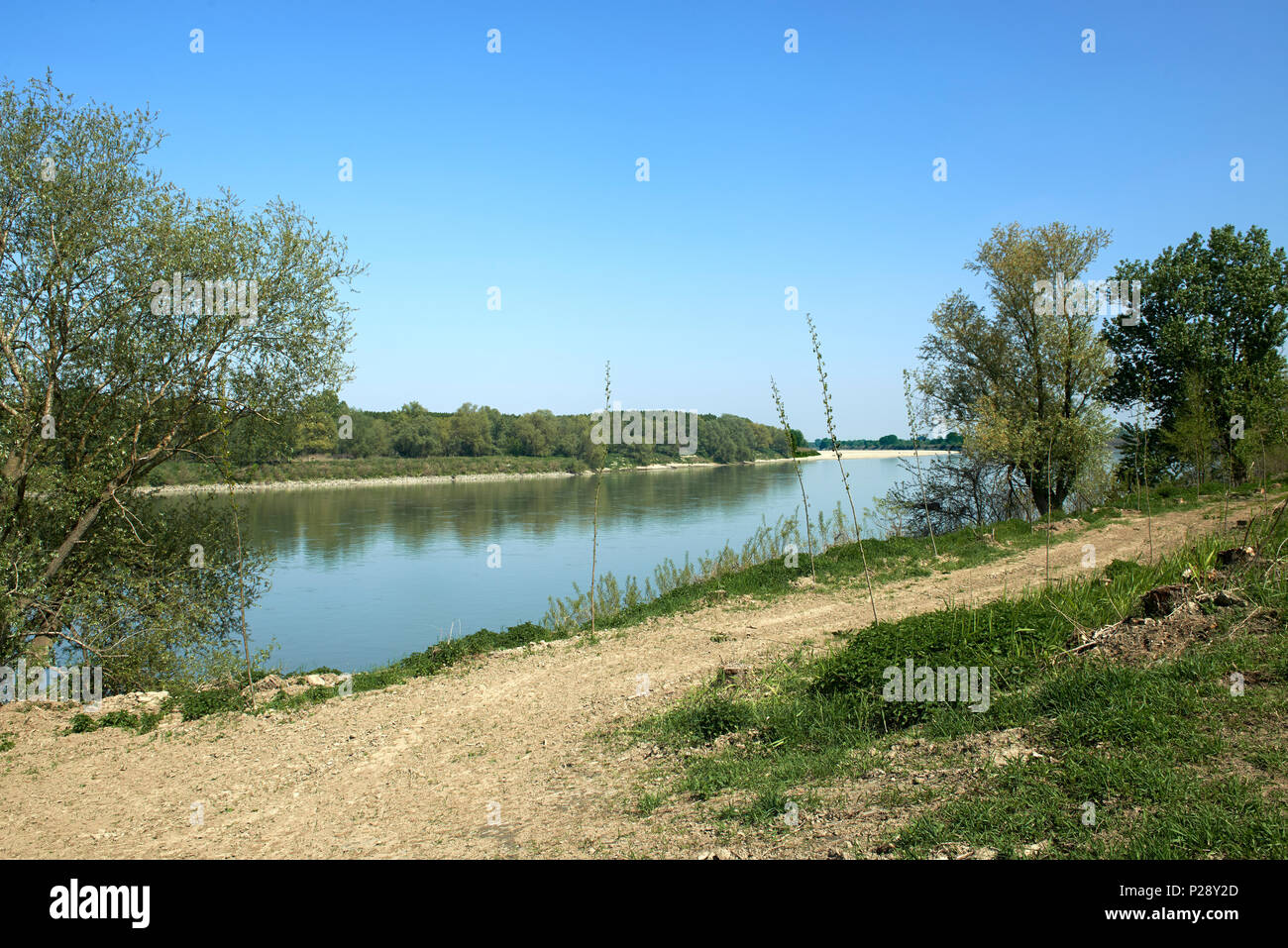 Zibello (Pr), Italy, the river Po Stock Photo - Alamy