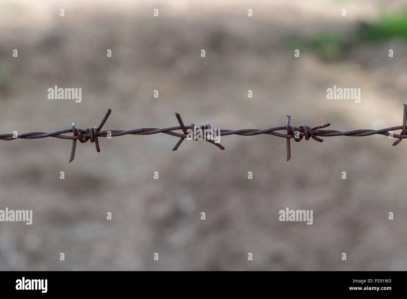 rusty sharp bare wire Stock Photo - Alamy