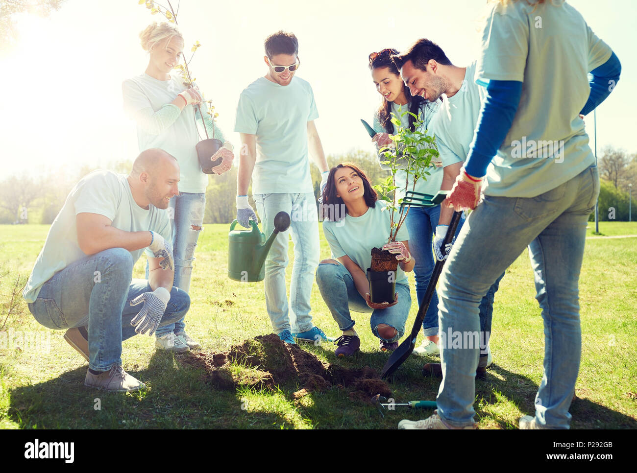 group of volunteers planting tree in park Stock Photo - Alamy