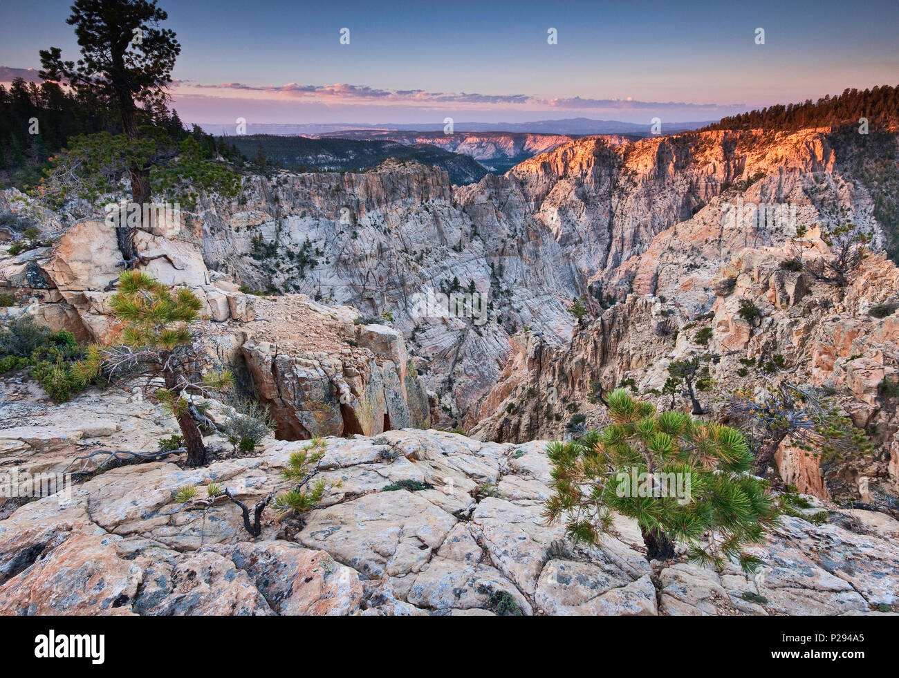 Box Death Hollow Wilderness, view at sunrise from Hells Backbone Road ...