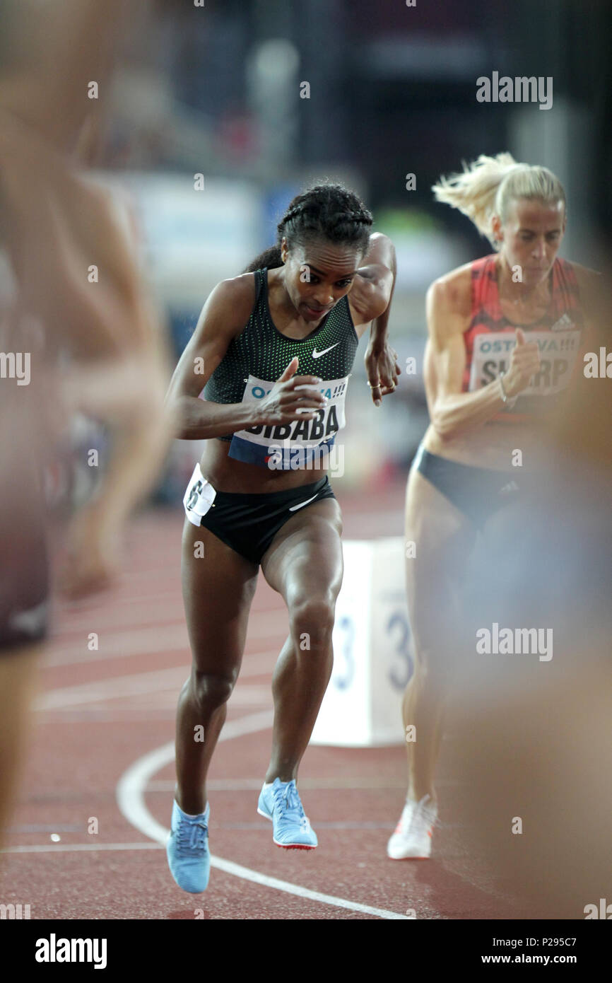 Genzebe dibaba hi-res stock photography and images - Alamy