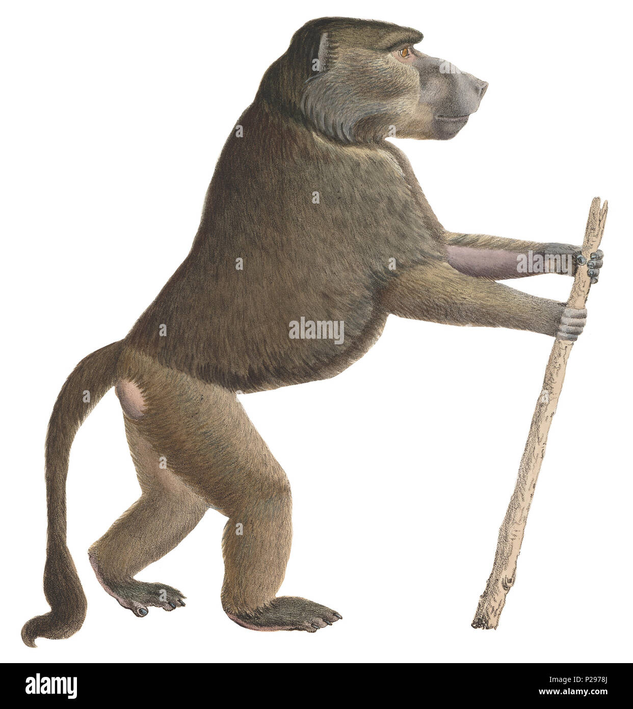 Amsterdam 1 0 Cut Out Stock Images & Pictures - Alamy