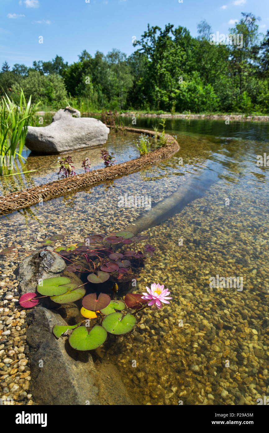 Plants filtering water hi-res stock photography and images - Alamy