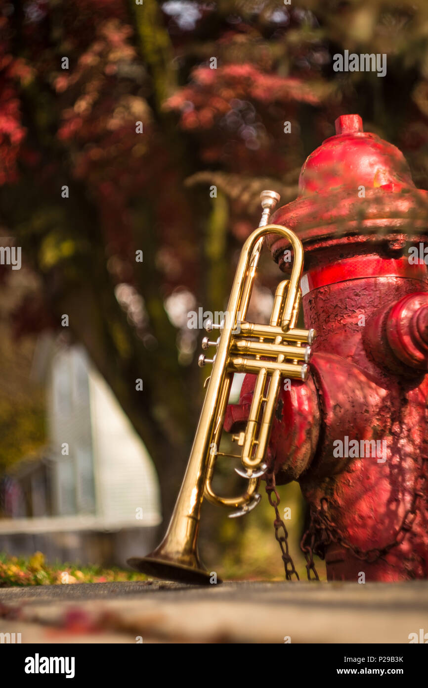 Autumn jazz instrument trumpet standing alone in nature Stock Photo - Alamy