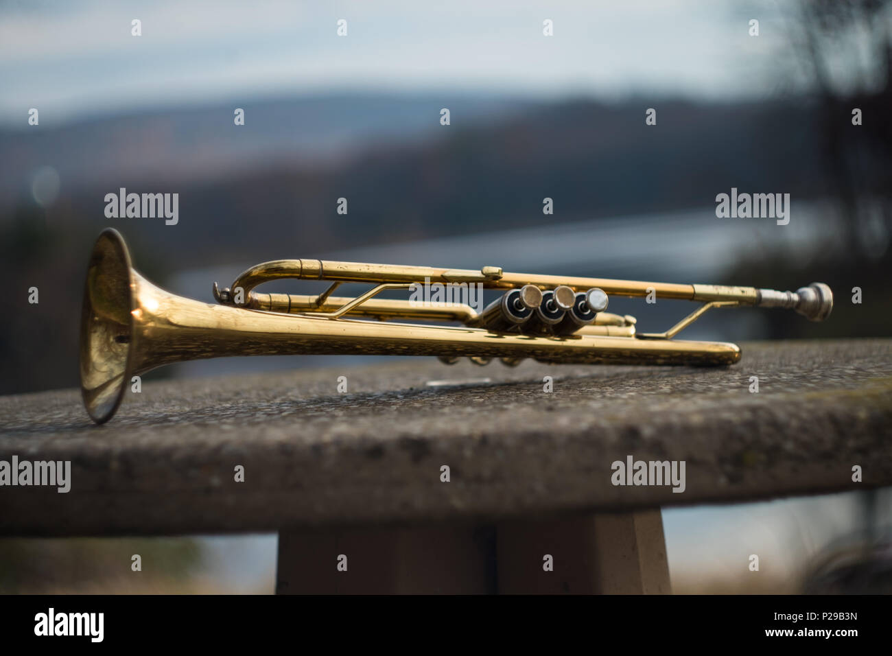 Autumn jazz instrument trumpet standing alone in nature Stock Photo - Alamy