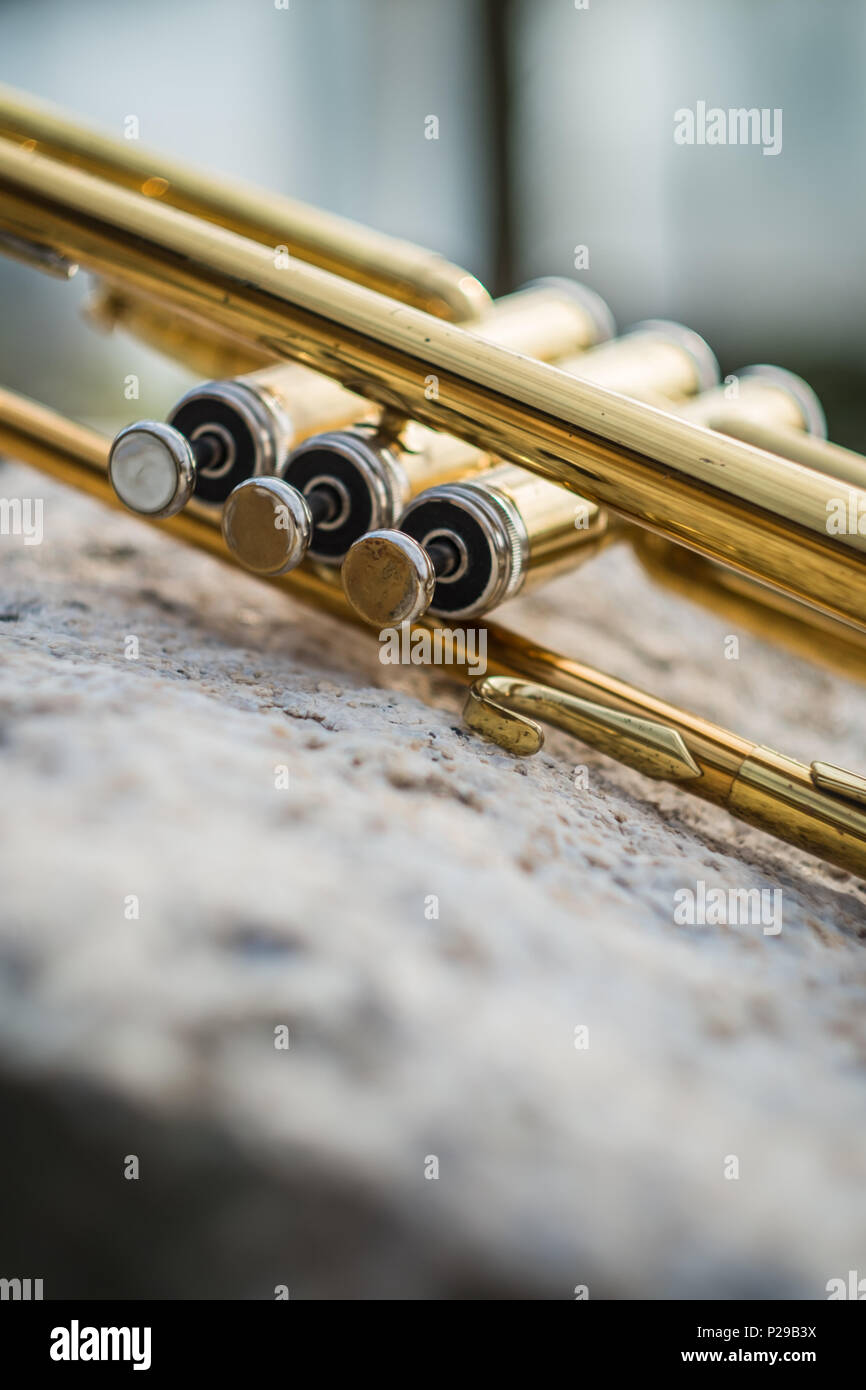Autumn jazz instrument trumpet standing alone in nature Stock Photo - Alamy