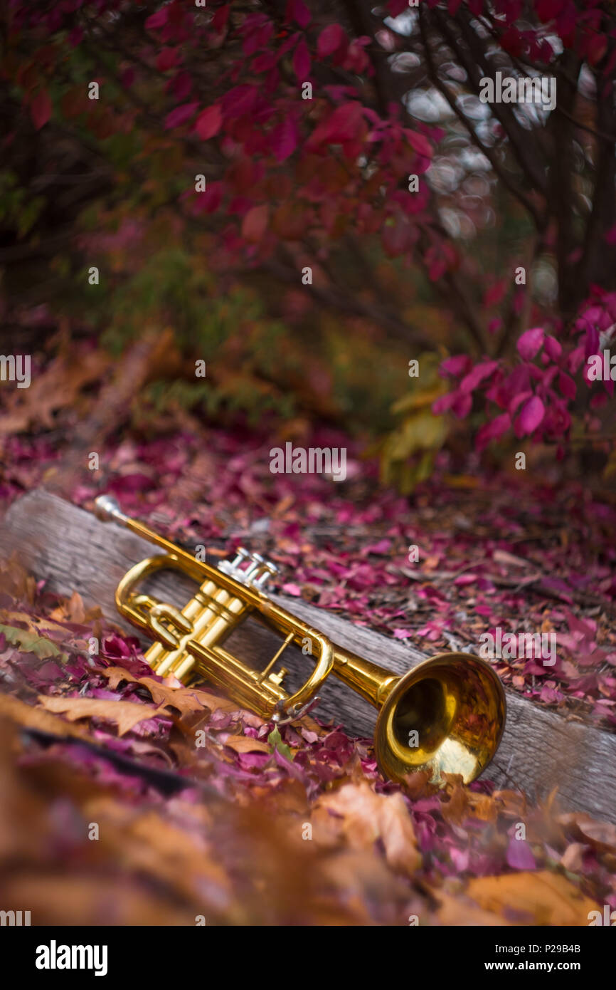 Standing trumpet hi-res stock photography and images - Alamy