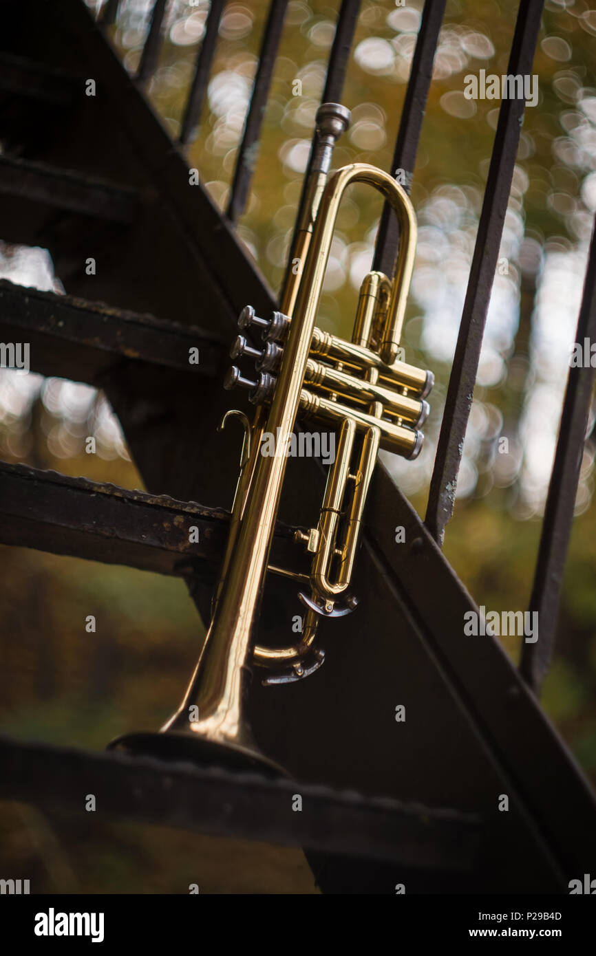 Autumn jazz instrument trumpet standing alone in nature Stock Photo - Alamy