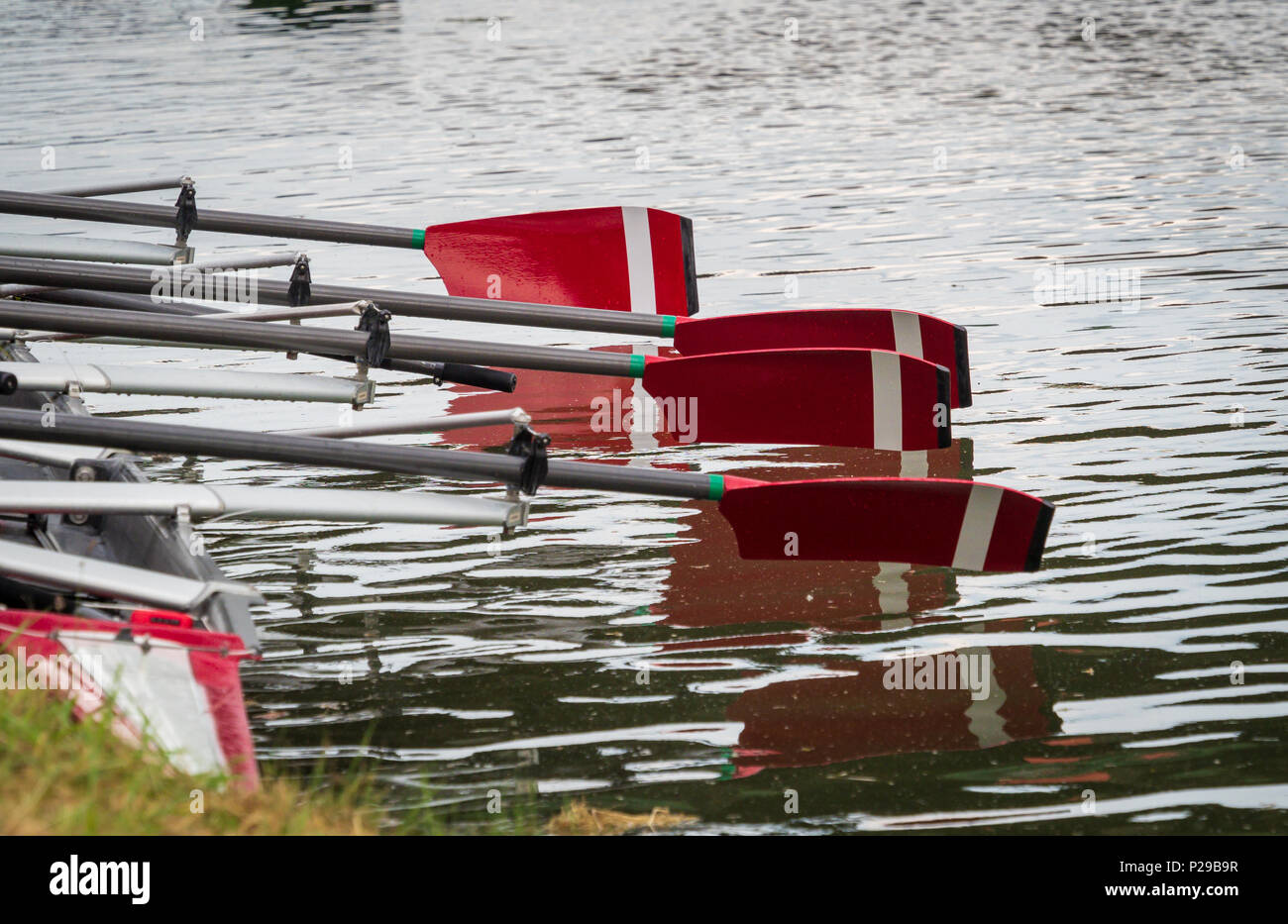 Cambridge Bumps June 2018 Stock Photo - Alamy