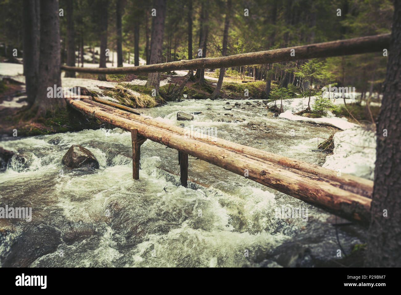 Log Bridge Design