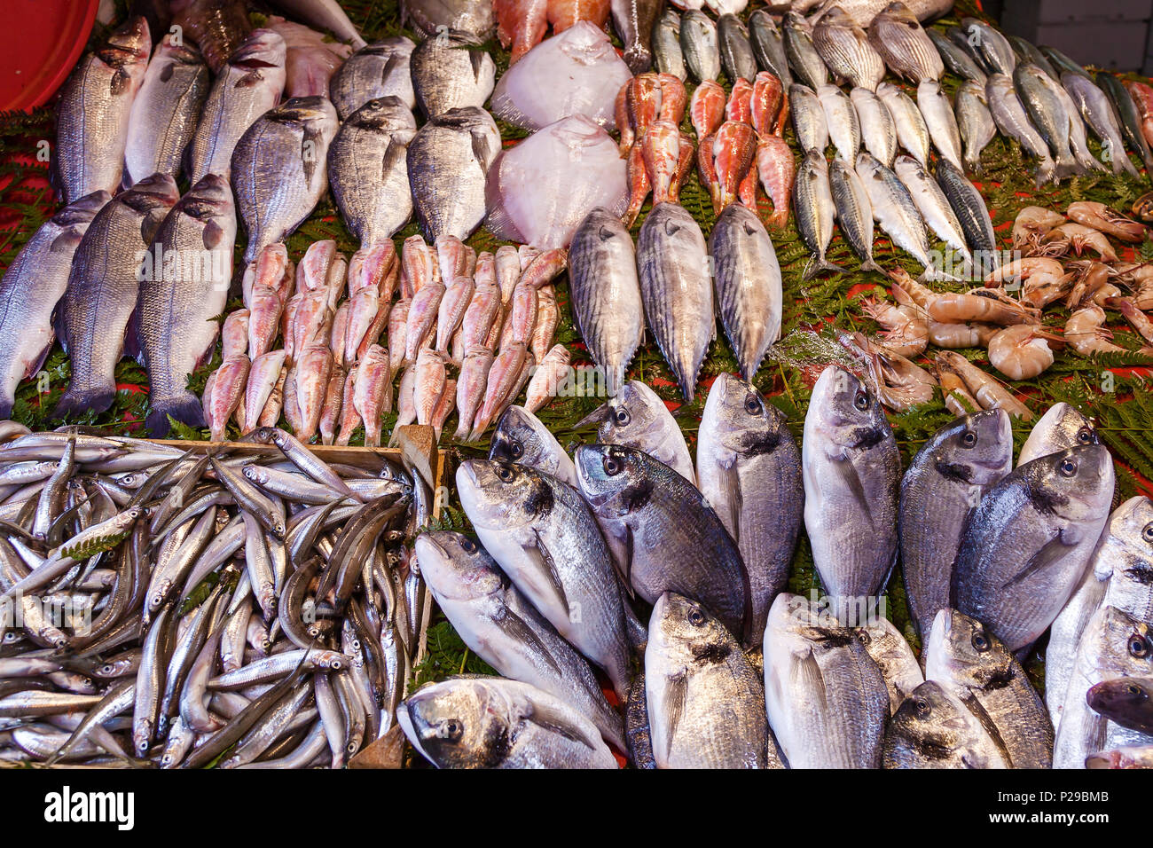 Closeup of assorted seafood and fish at Fish market in Istanbul, Turkey ...