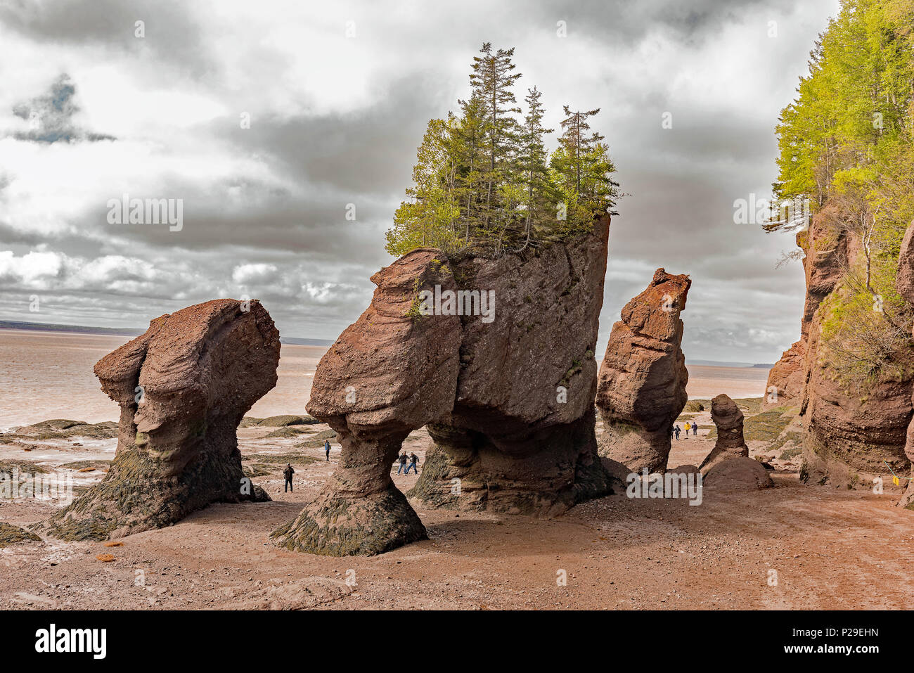 Hopewell Rocks Park, Hopewell Cape, NB, Canada Stock Photo - Alamy