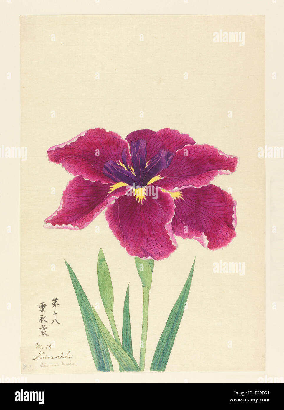 . English: Print, Cloud Robe (Kumo-Isho), No. 18, ca. 1910 . English: A ...