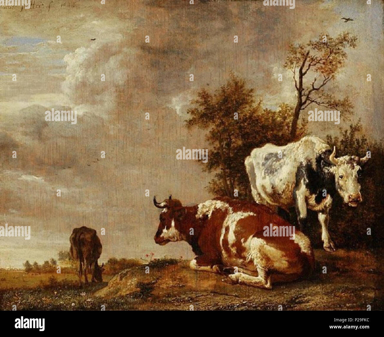 . English: Three Cows in a Pasture . 1646 218 Paulus Potter - Three ...