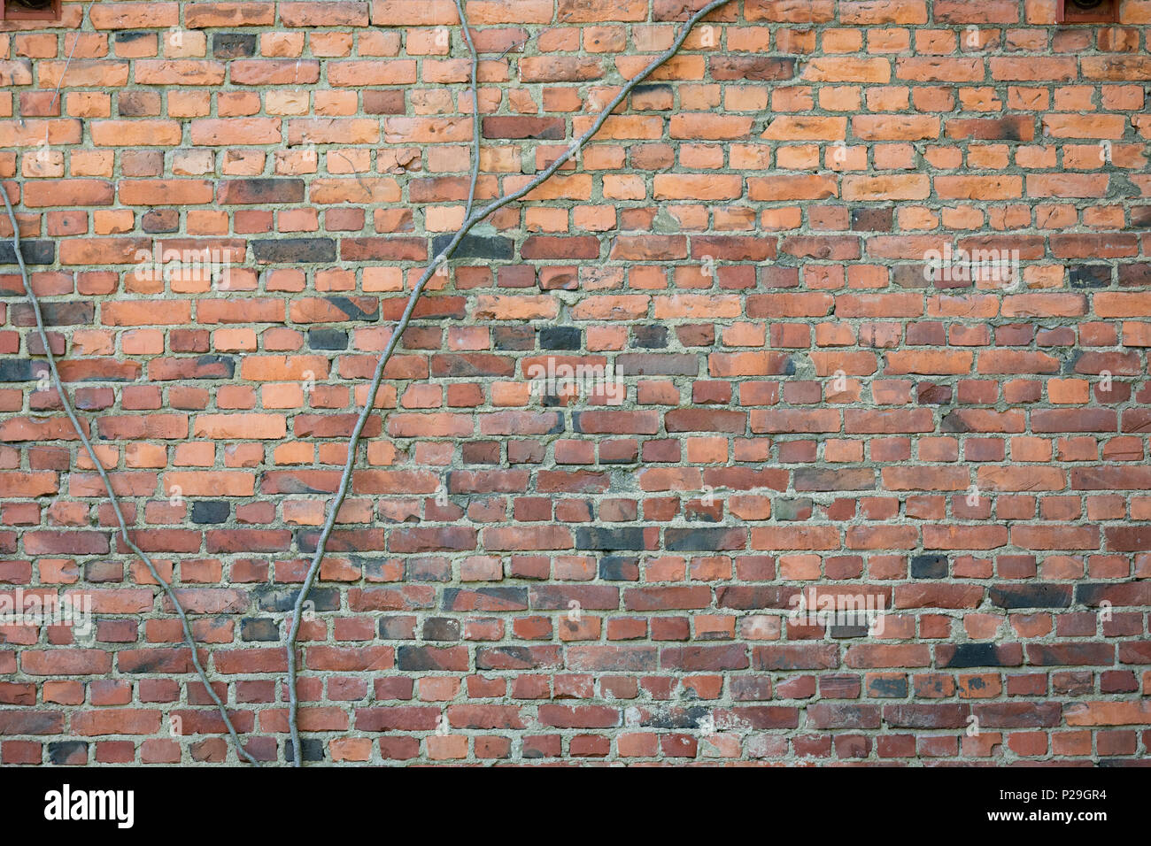 Old messy brick wall texture background exterior Stock Photo - Alamy
