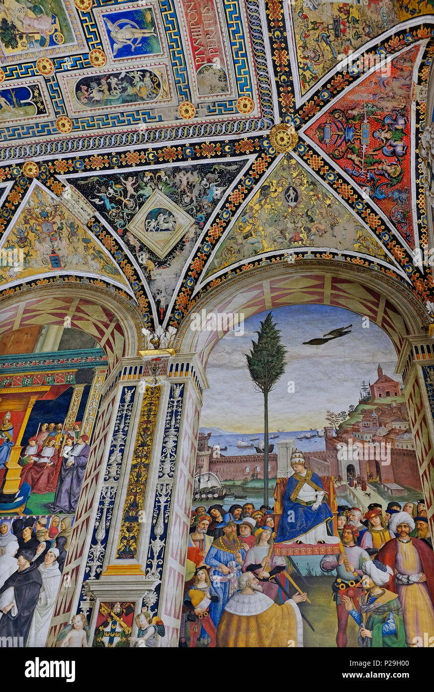 biblioteca piccolomini library, siena, tuscany, italy Stock Photo - Alamy