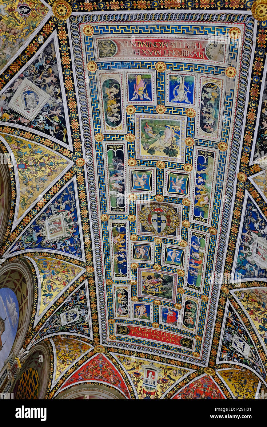 biblioteca piccolomini library, siena, tuscany, italy Stock Photo - Alamy