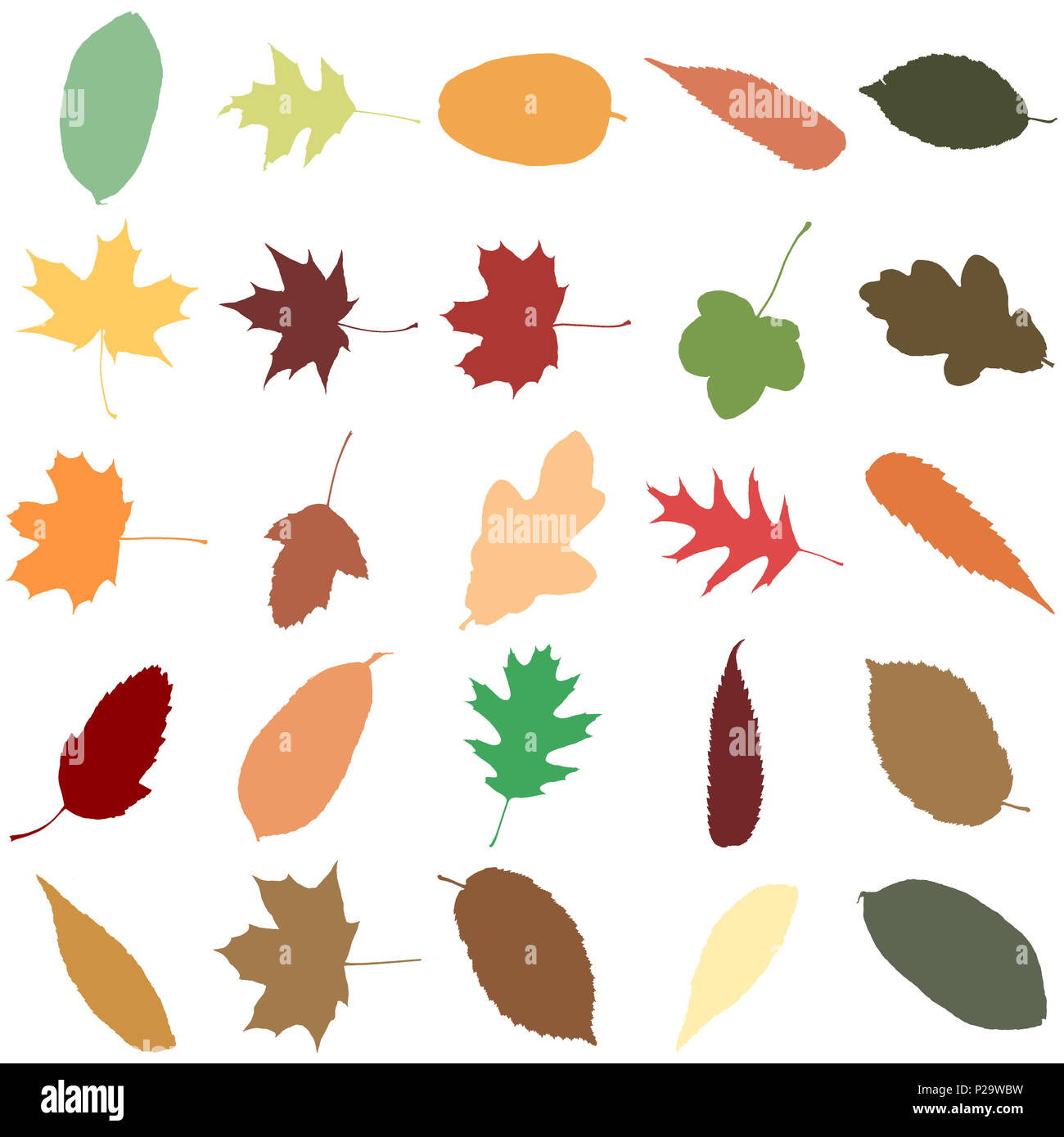 Seamless pattern made of a collection of colorful autumn leaves Stock ...