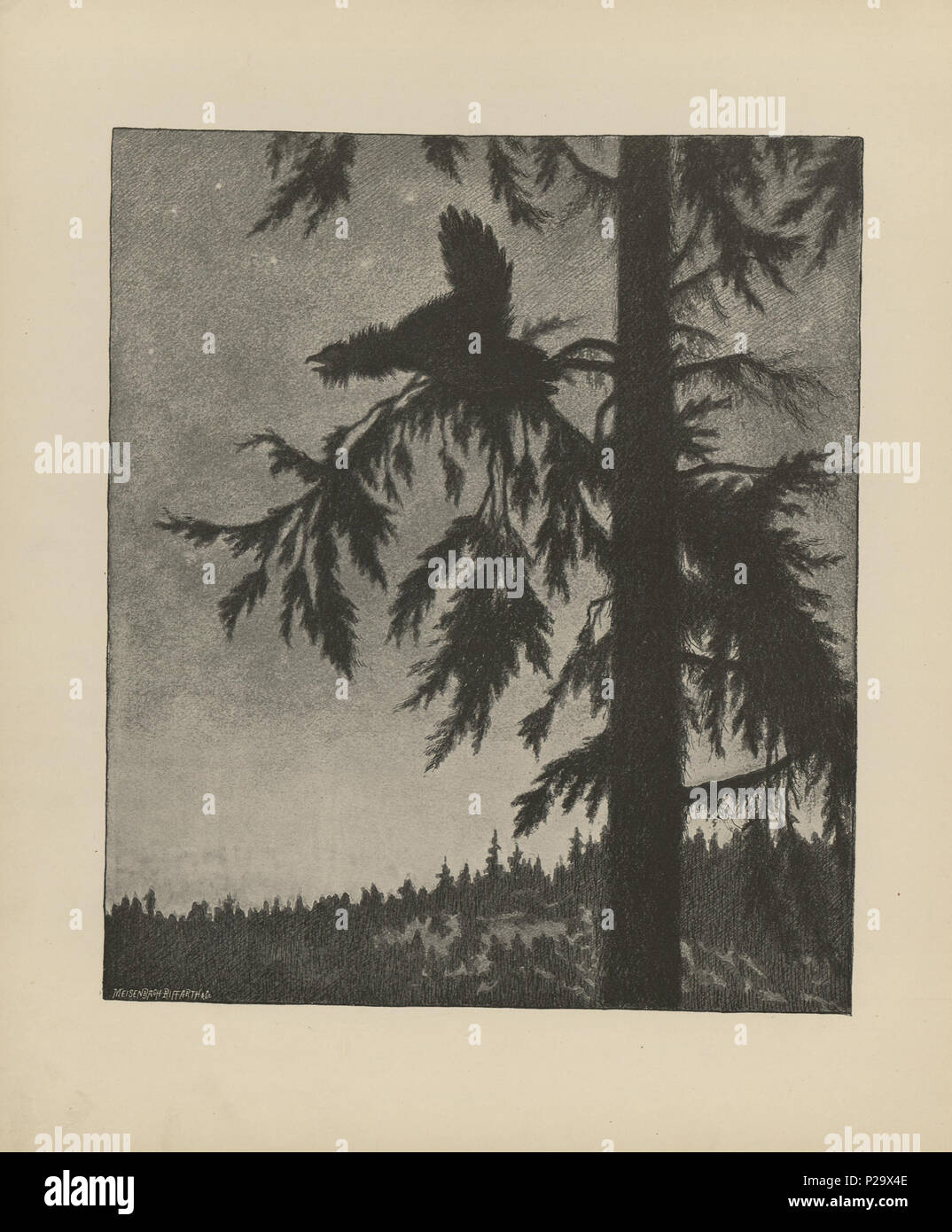 . Norsk bokmål: Illustrasjon hentet fra boken Svartedauen av Kittelsen ...