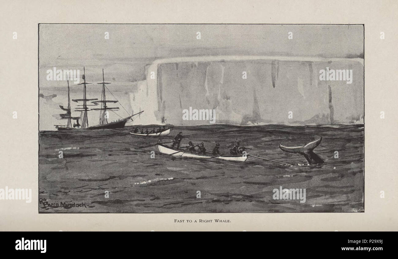 William h bull hi-res stock photography and images - Alamy