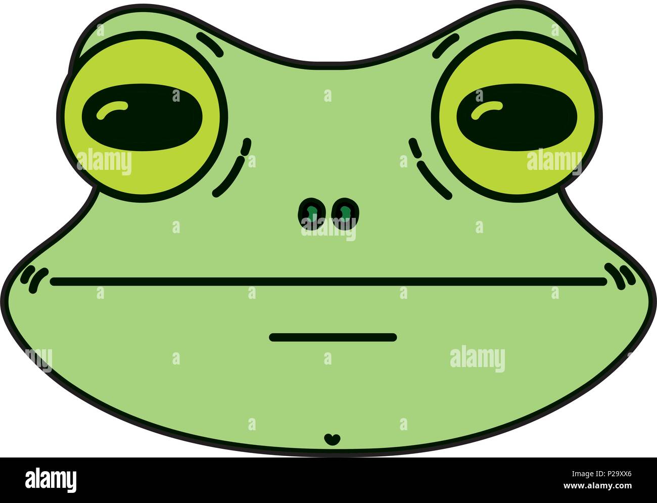 color cute frog head wild animal Stock Vector Image & Art - Alamy