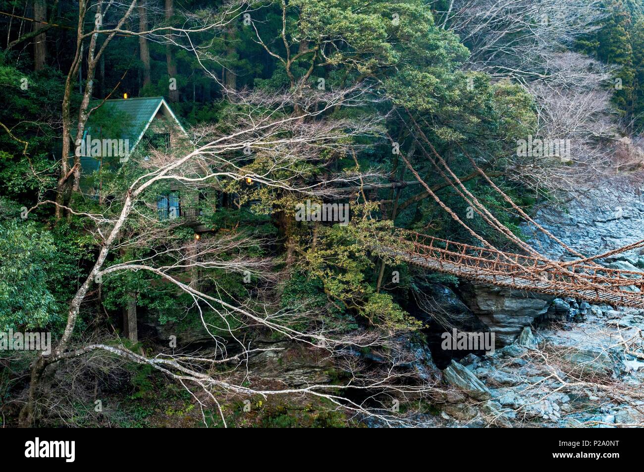 Japan, Shikoku island, Tokushima prefecture, Iya river, Iya no ...