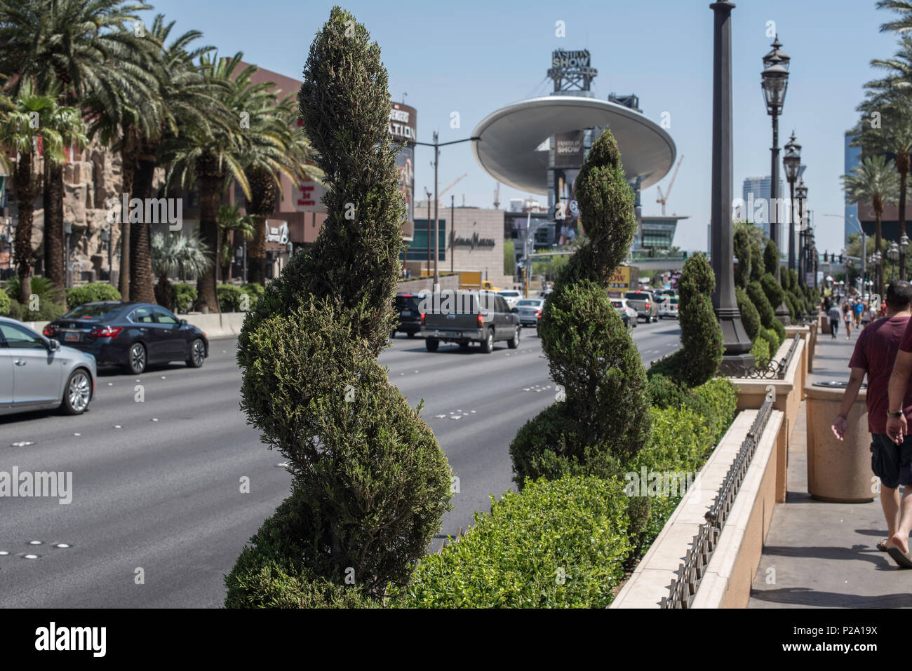 Unusual shaped trees hi-res stock photography and images - Alamy