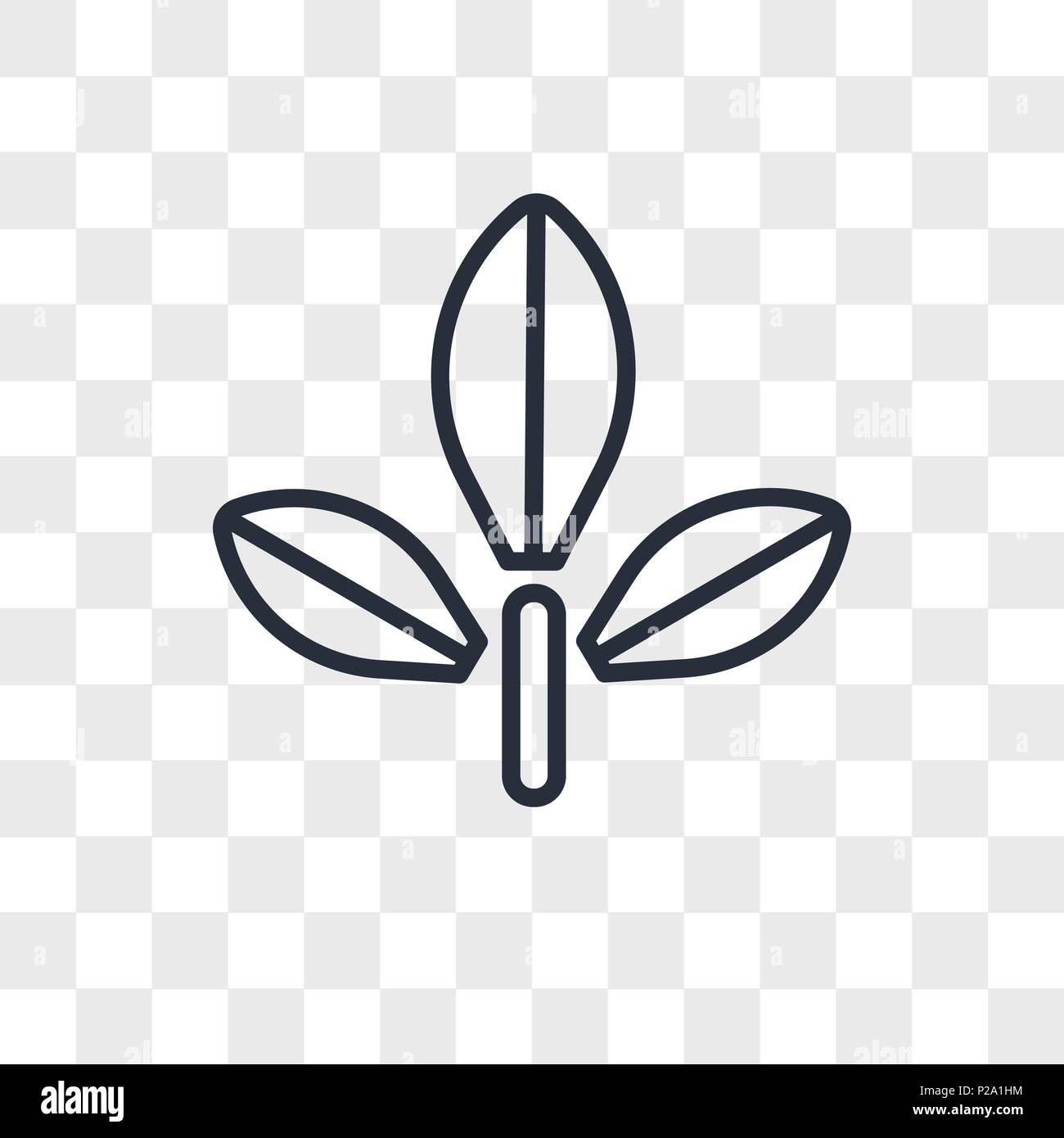 Bael tree vector icon isolated on transparent background, Bael tree ...