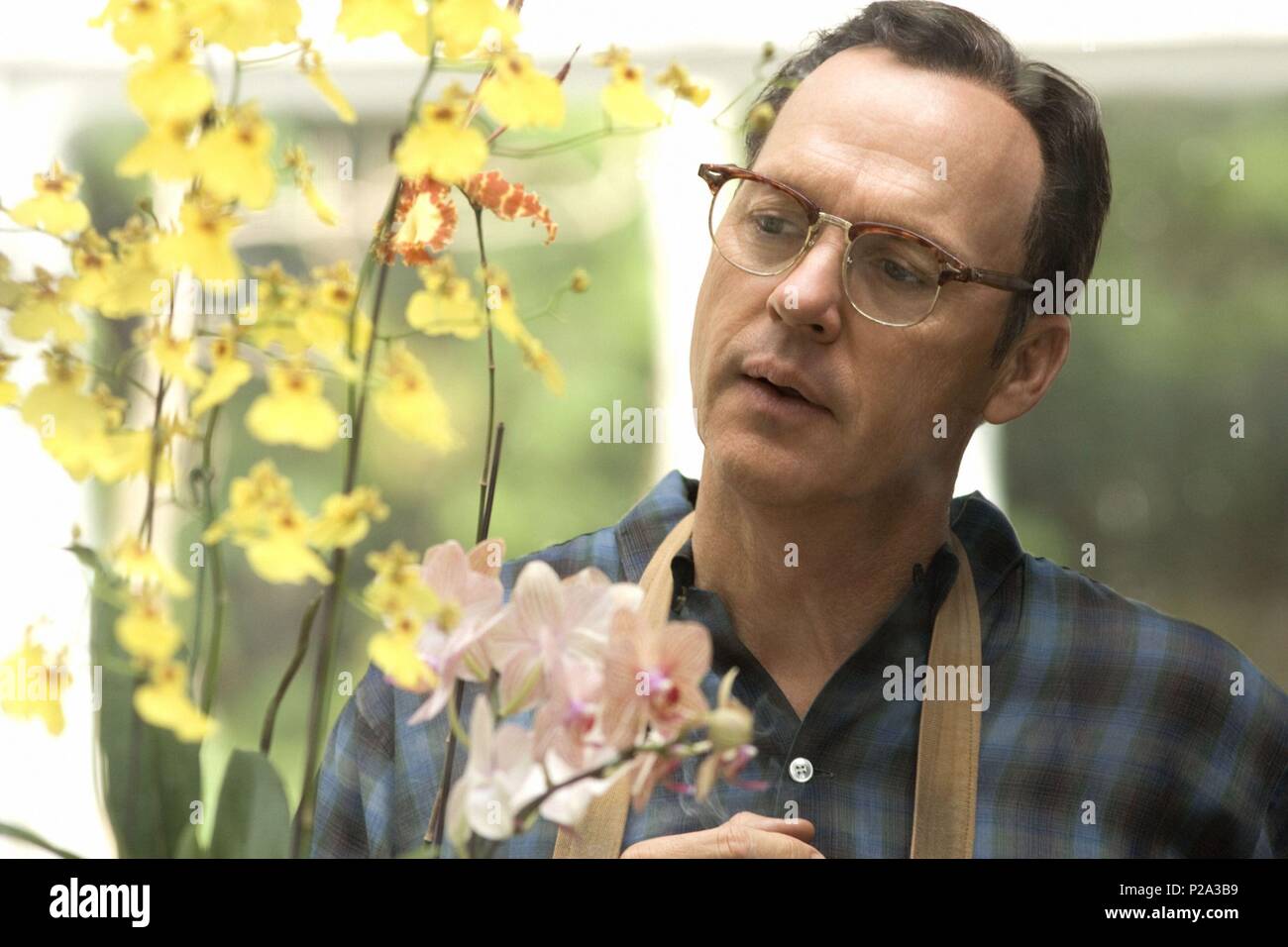 Original Film Title: THE COMPANY. English Title: THE COMPANY. Film ...