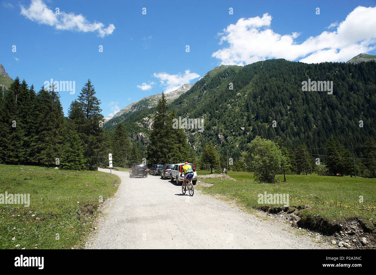 Gaver hi-res stock photography and images - Alamy
