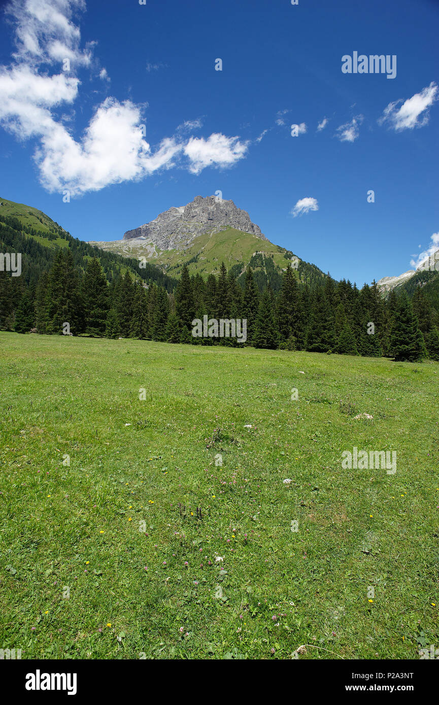 Piana gaver hi-res stock photography and images - Alamy