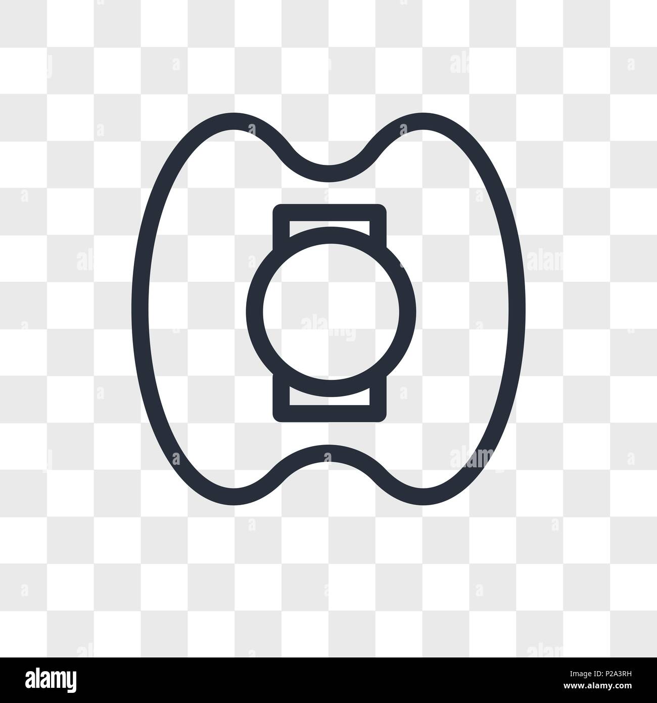 Democracy vector icon isolated on transparent background, Democracy ...