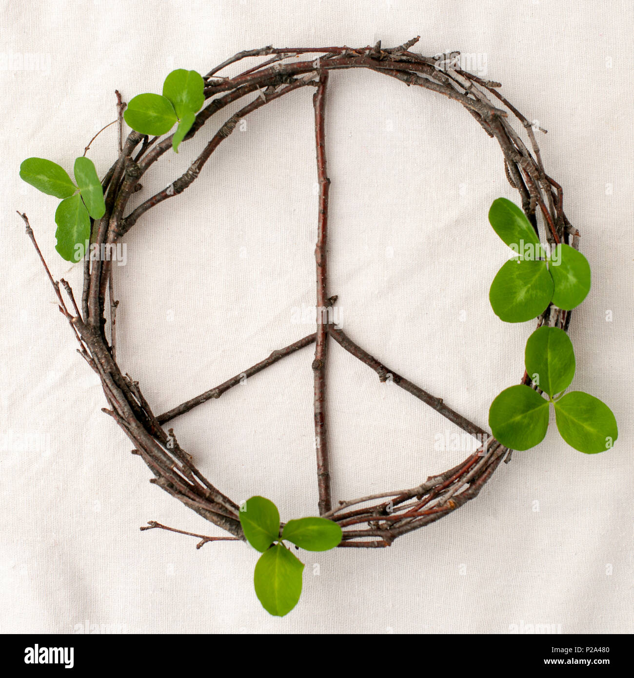 Peace sign, symbol of natural material - flowers, leaves, wooden sticks ...