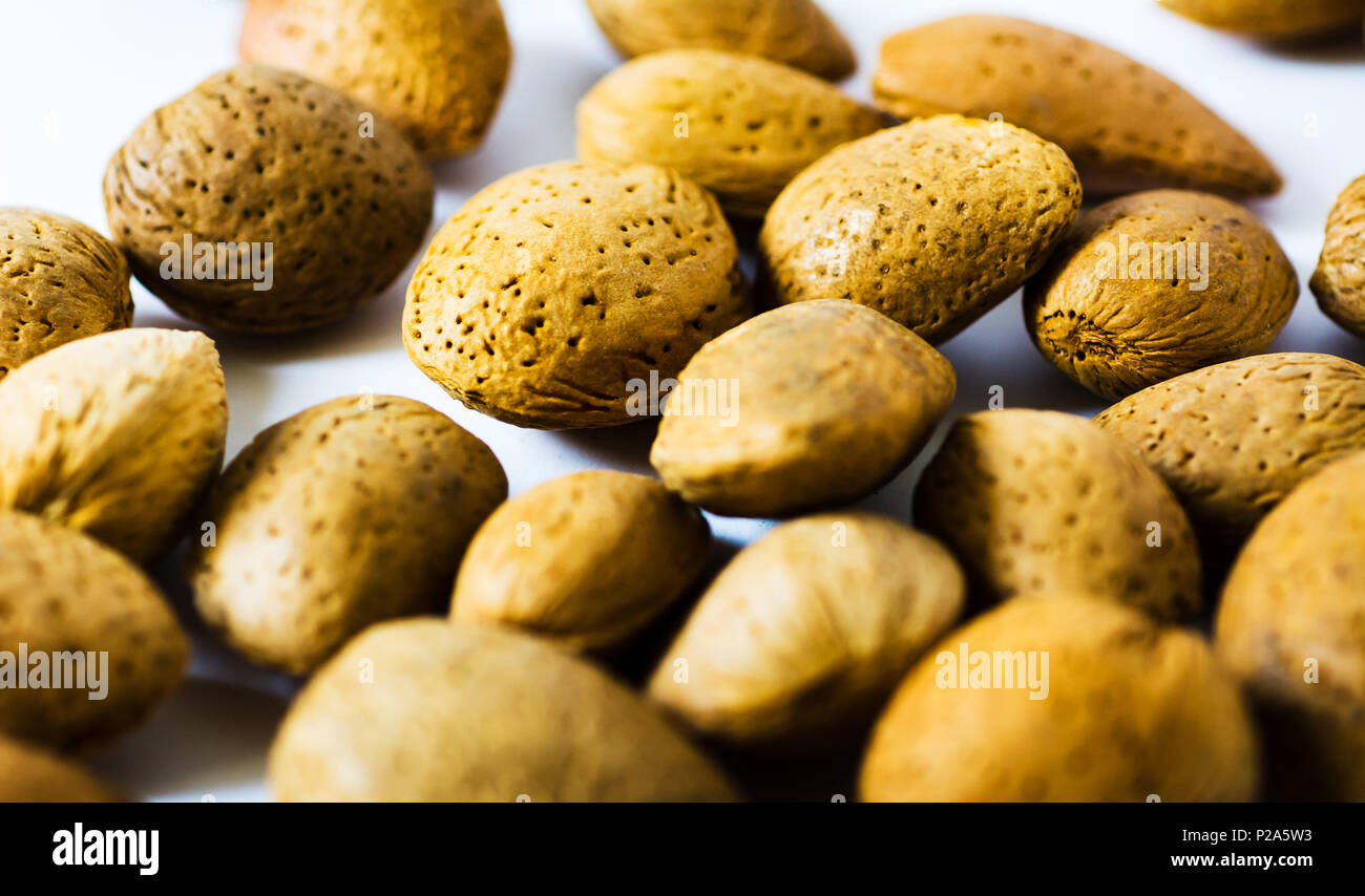 Shell nutshell hi-res stock photography and images - Alamy