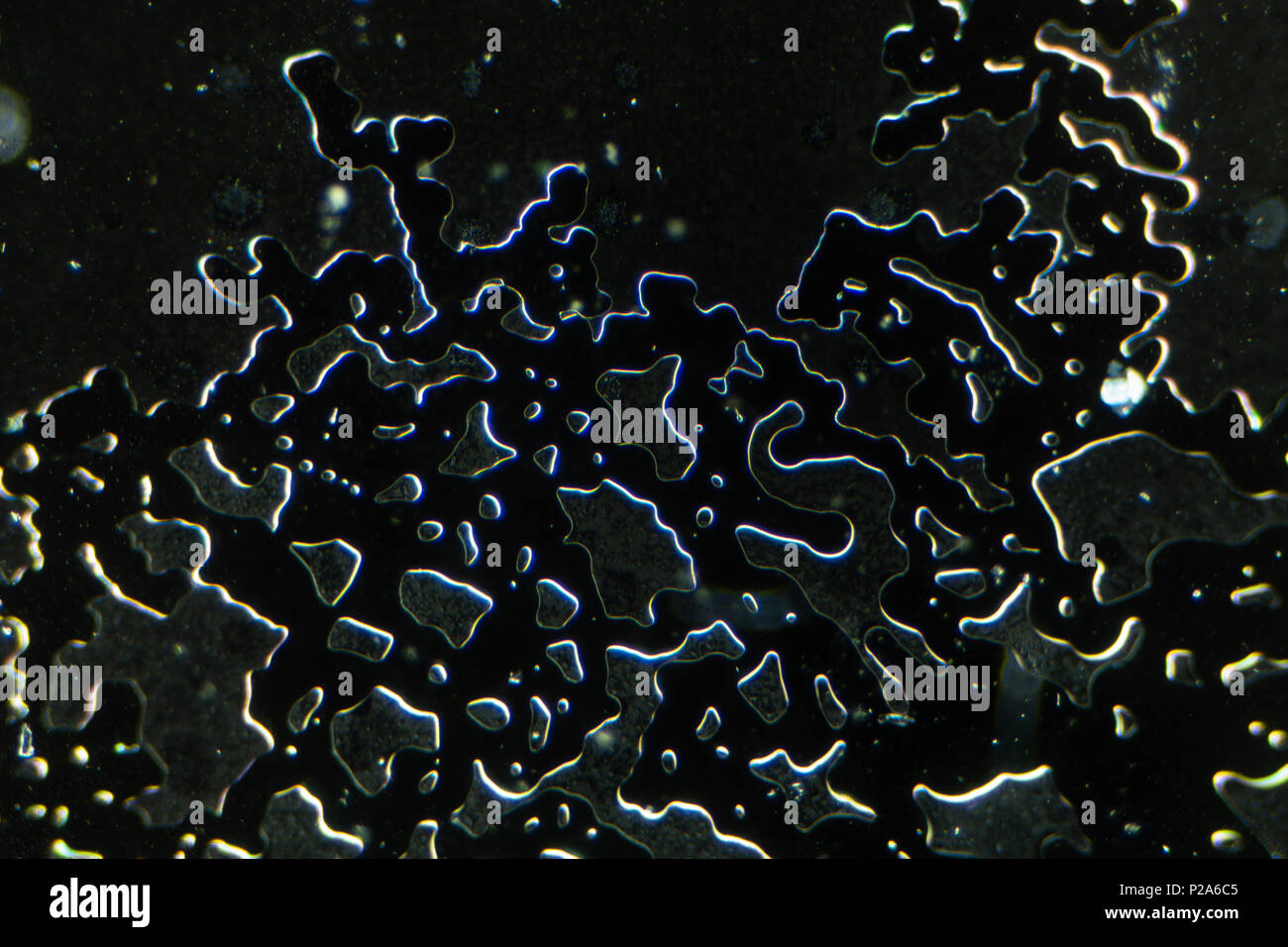 nanostructure of the metamaterial in a microscope Stock Photo - Alamy