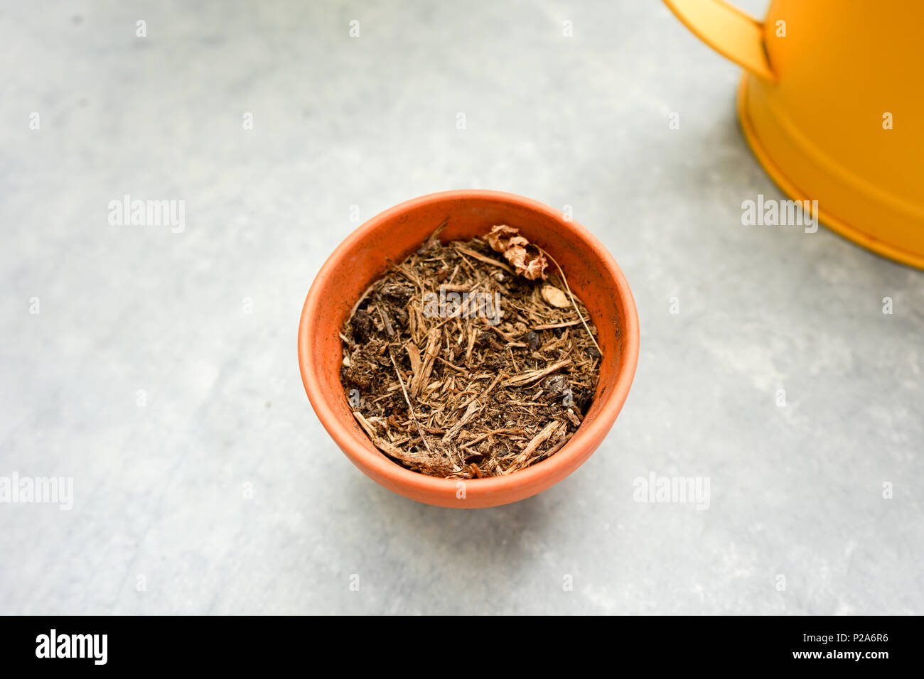 yellow watering can with dry ton pot giving water Stock Photo - Alamy