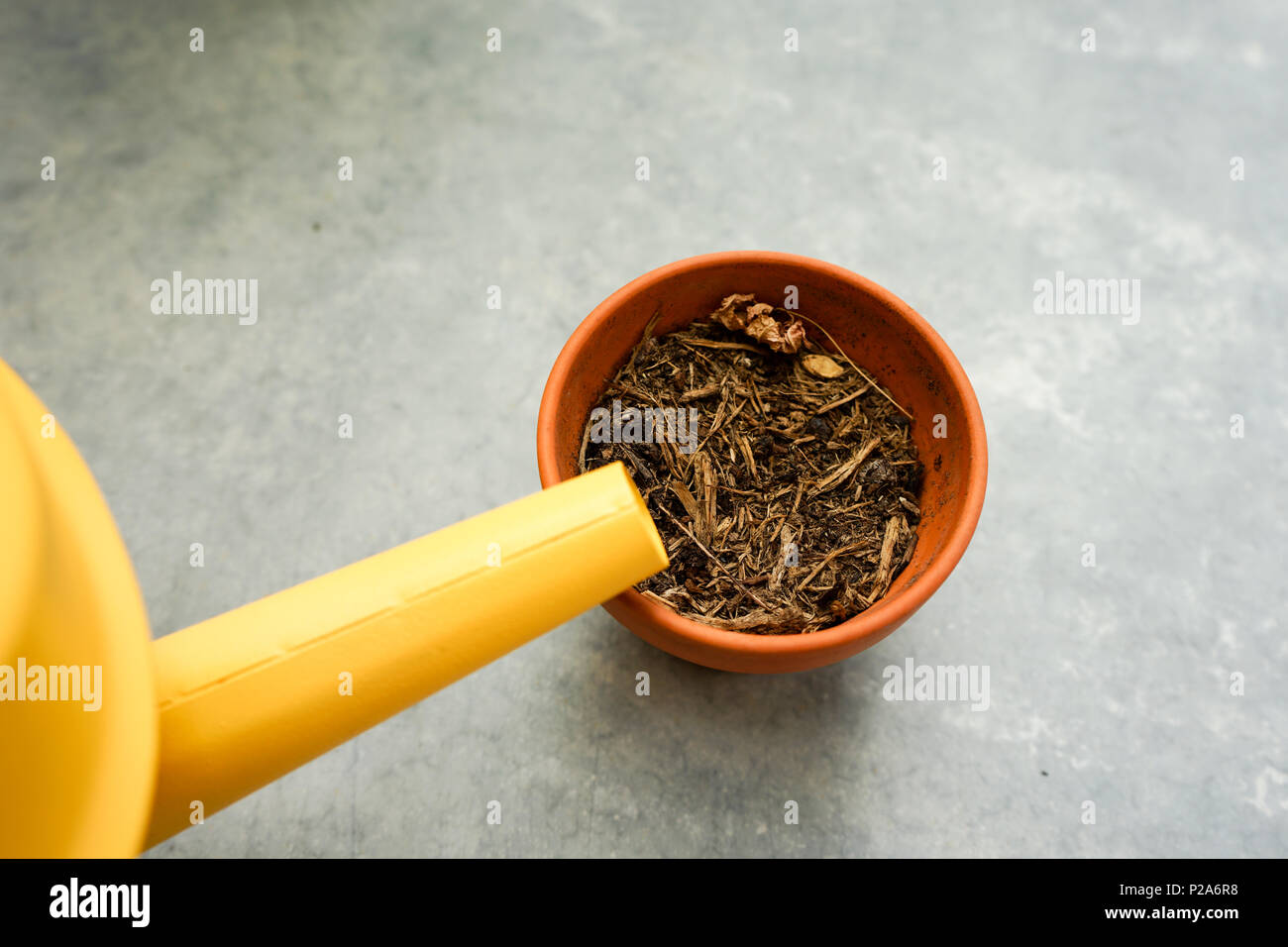 yellow watering can with dry ton pot giving water Stock Photo - Alamy