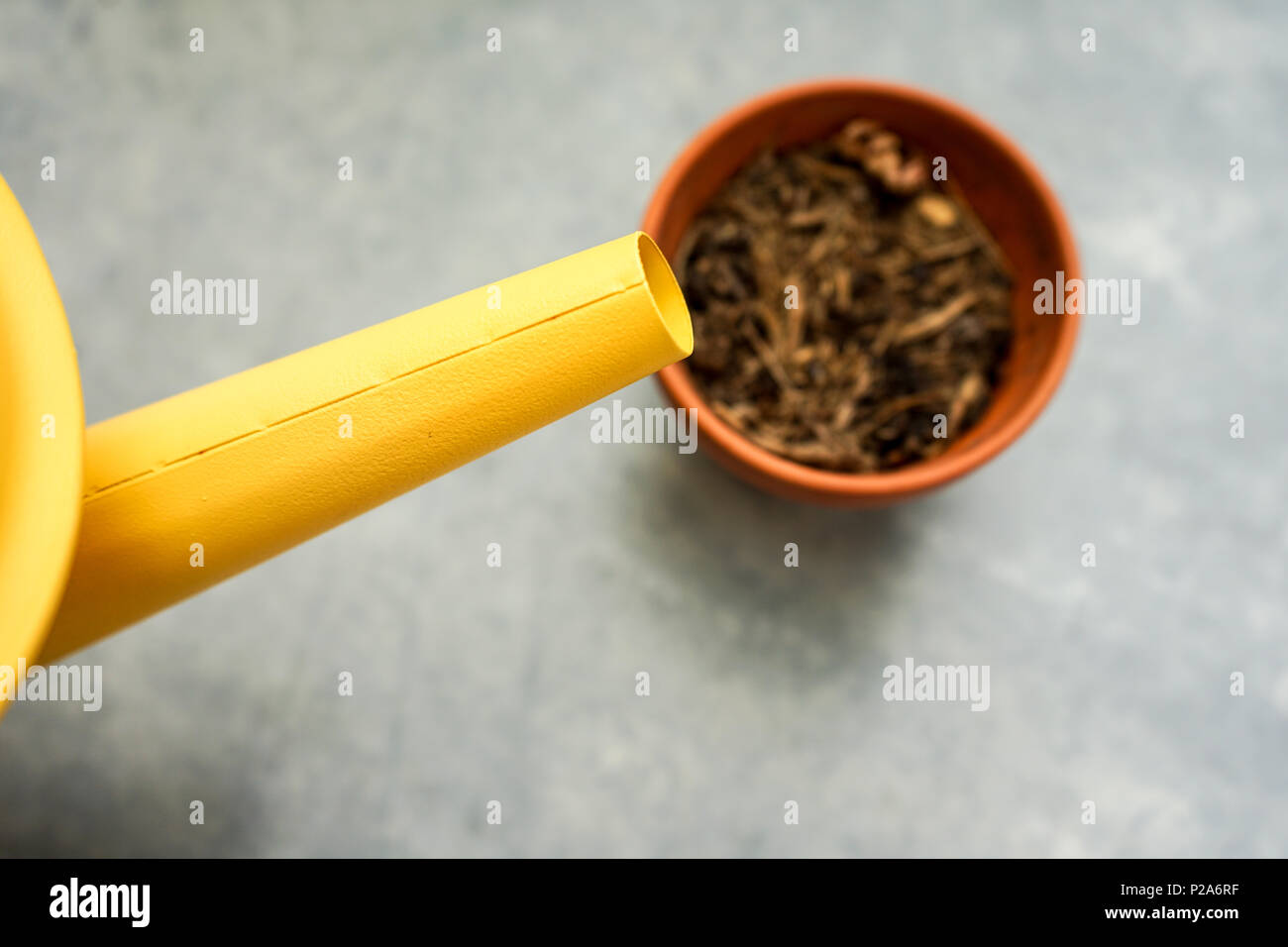 yellow watering can with dry ton pot giving water Stock Photo - Alamy