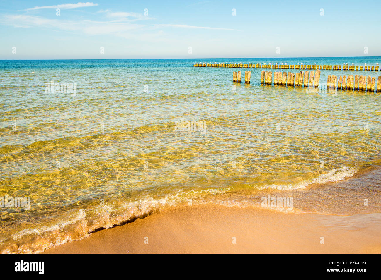 beach of Baltic Sea, Poland with groins Stock Photo - Alamy