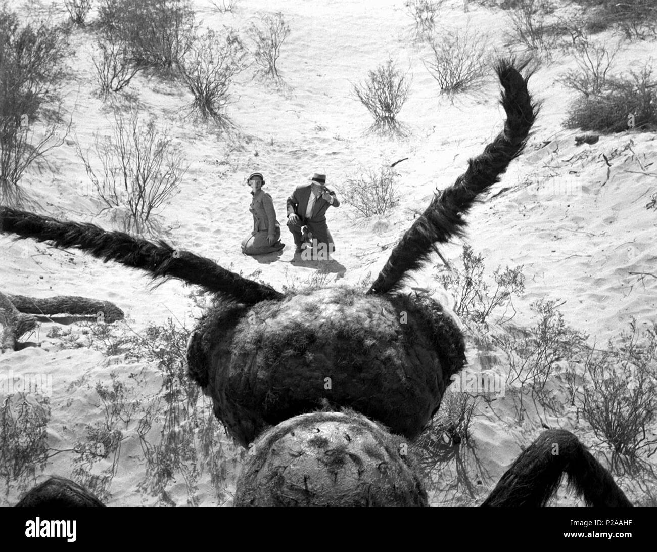 Original Film Title: THEM!. English Title: THEM!. Film Director: GORDON ...