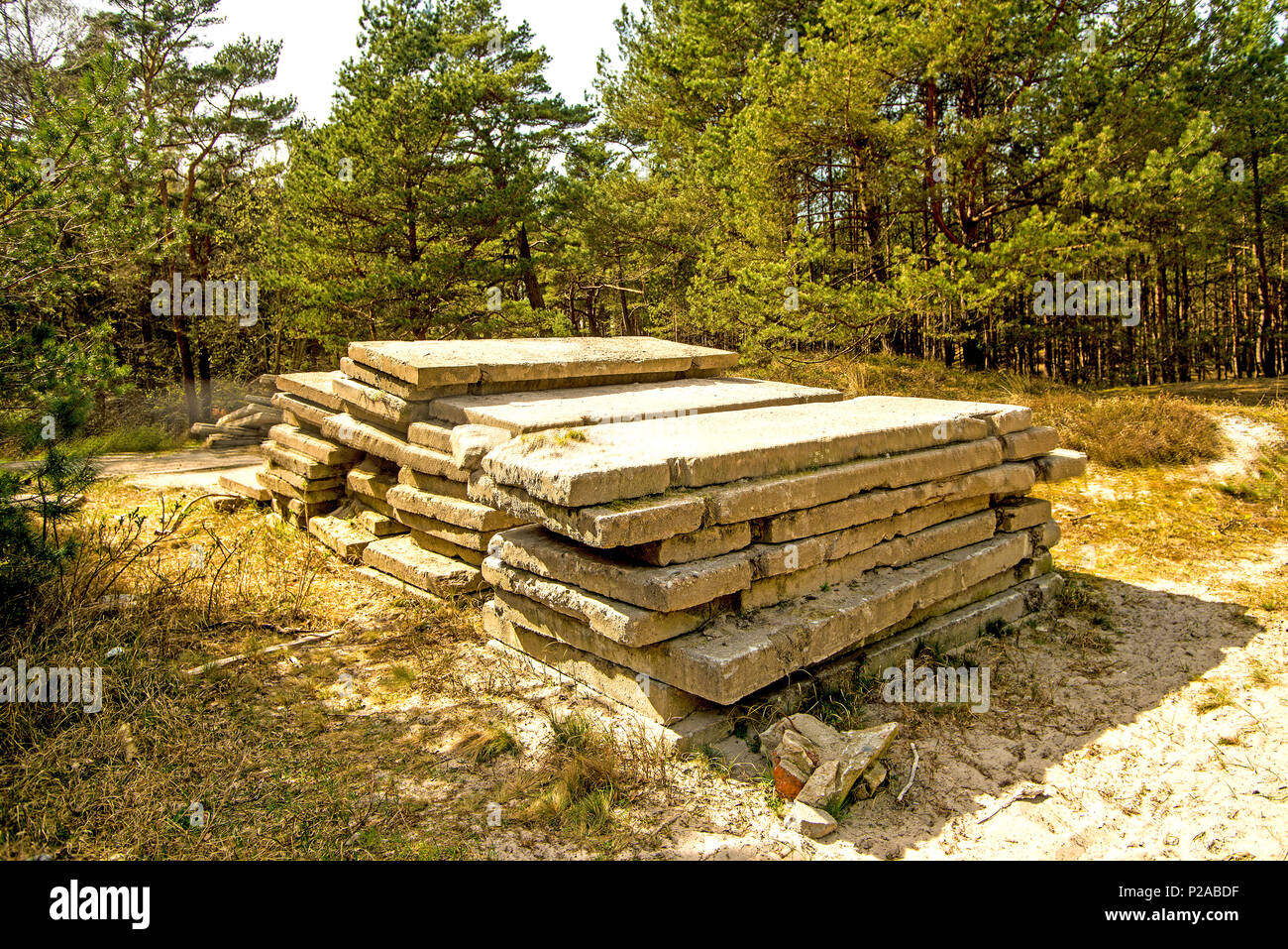 historic concrete slabs of the German Nazi in Poland Stock Photo - Alamy