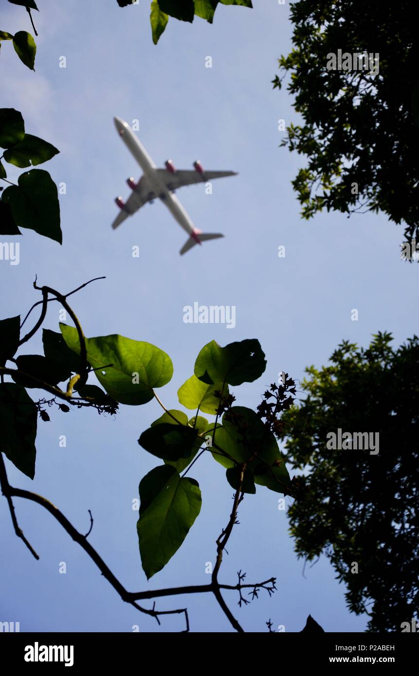 Aircraft plants hi-res stock photography and images - Alamy