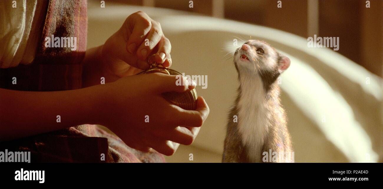 Original Film Title: THE GOLDEN COMPASS. English Title: THE GOLDEN ...