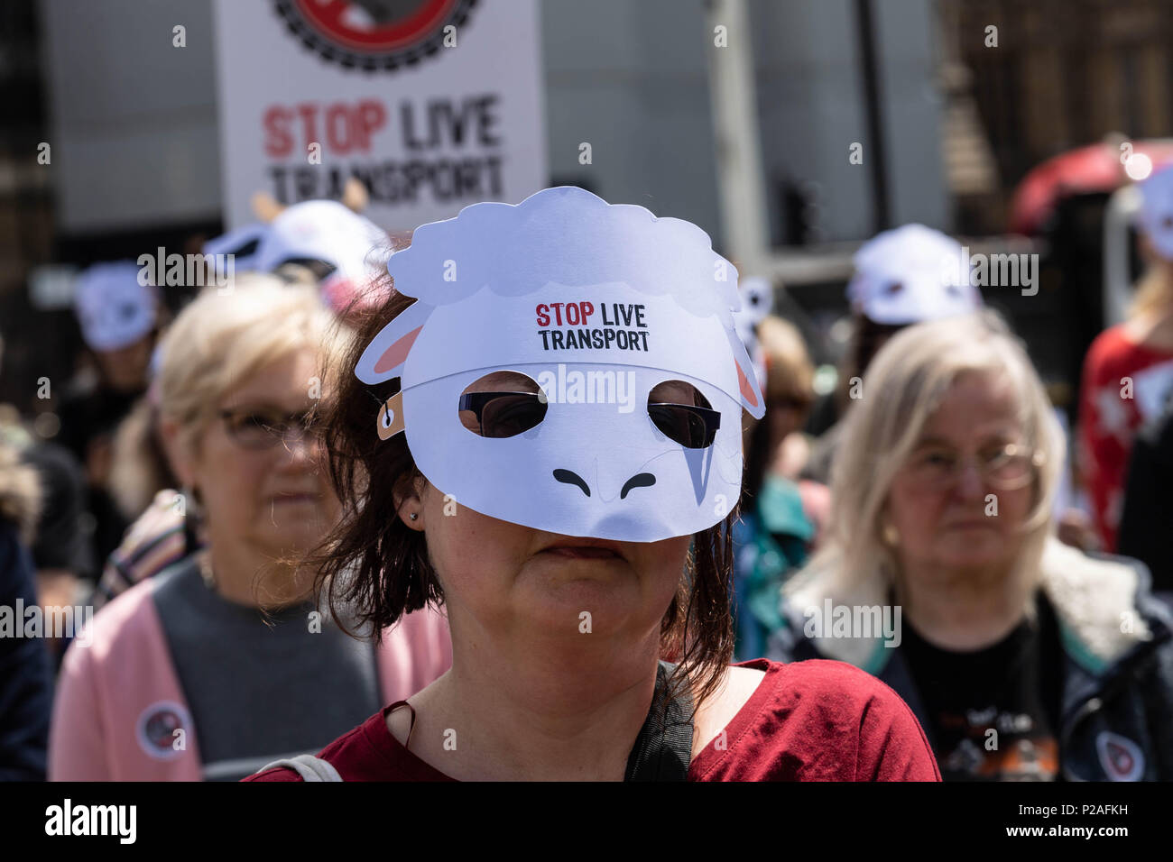 Animal injustice hi-res stock photography and images - Alamy